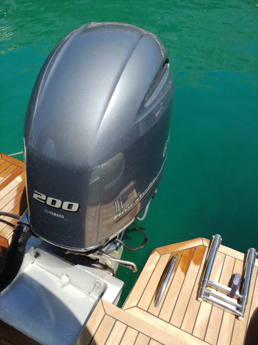 Shark 23