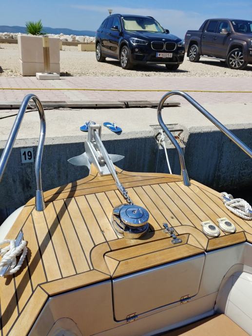 Shark 23