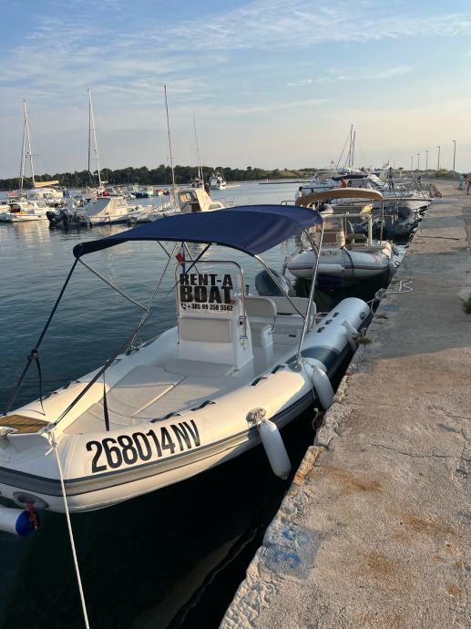 Tiger Marine Proline 550