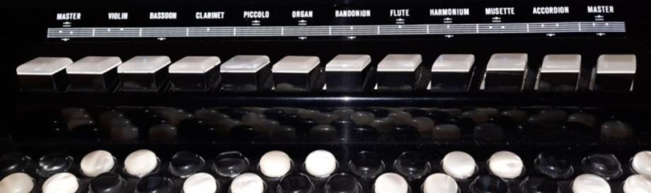 Dallape Organtone 993a, Harmonika dugmetara, b griff, original Italy