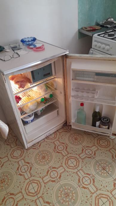 Frižider Obodin POKLANJAM