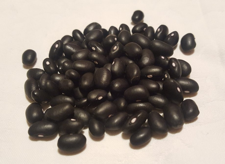 Crni grah (crna kornjača) - domaći ljekoviti grah