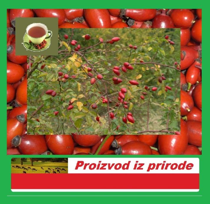 DIVLJI ŠIPAK pakiranje 1kg