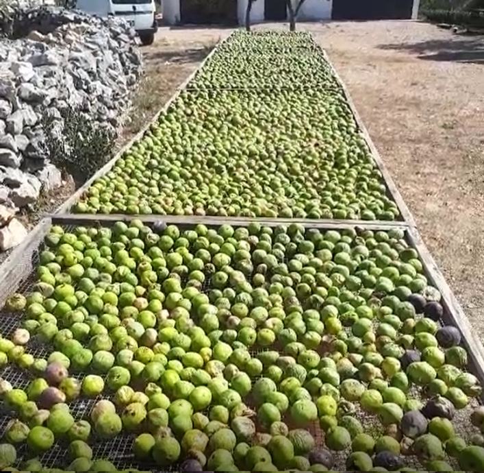 Domaće sušene smokve