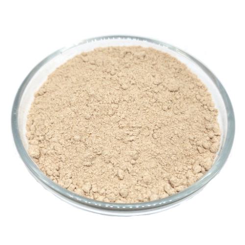 Glatki brijest (Ulmus rubra) prah 50g