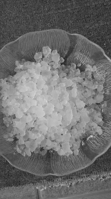 JAPANSKI KRISTALI--VODENI KEFIR- dajem - šaljem 12 žlica