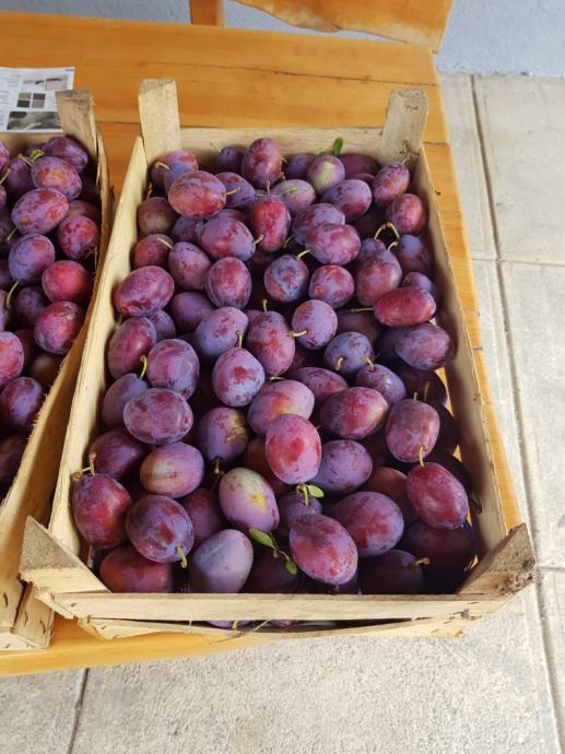 Šljiva čačanka rana