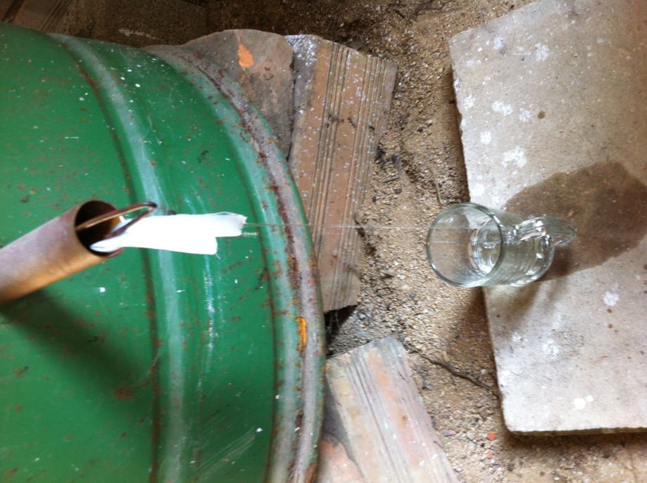 Domaća rakija - loza