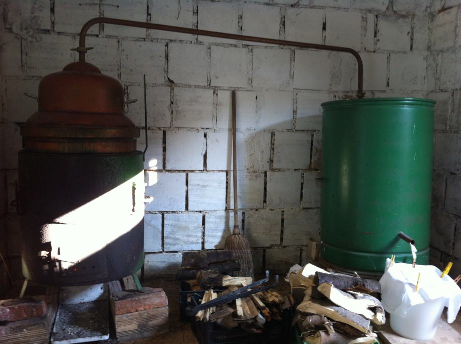 Domaća rakija - loza