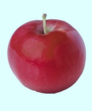 Jabuke sorte IDARED