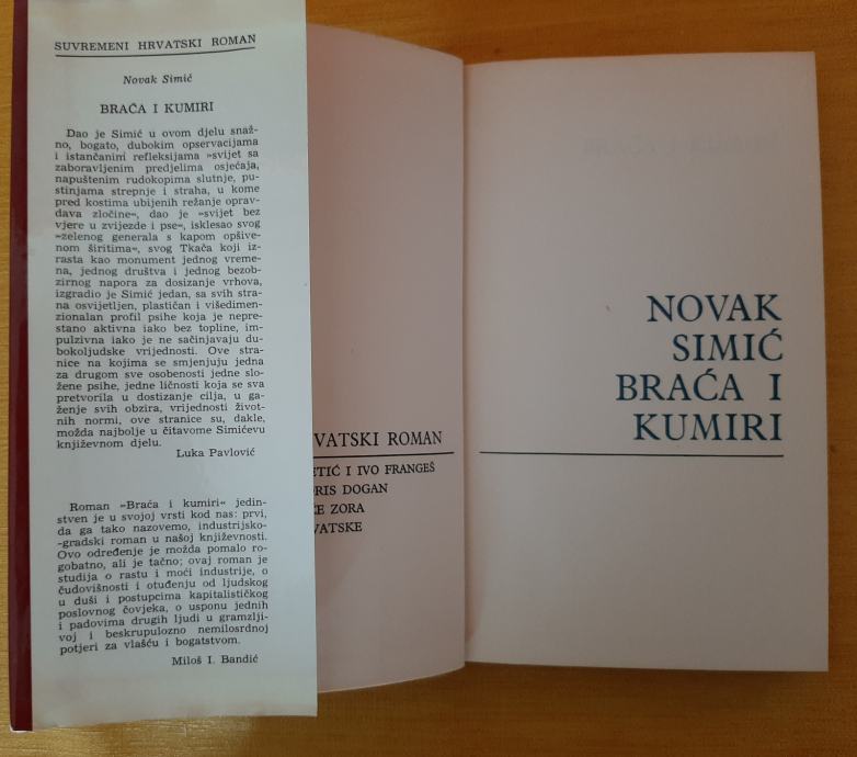 Braća i Kumiri - Novak Simić - suvremeni hrvatski roman