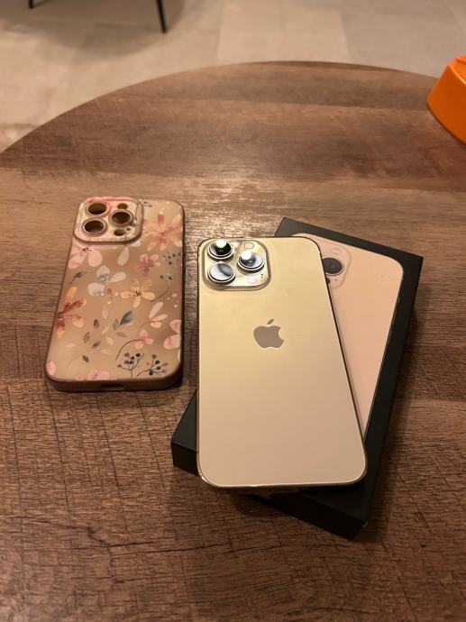 IPhone 13 Pro 2022 god