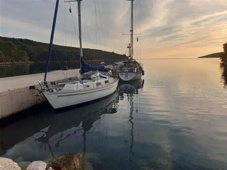 Hallberg-Rassy Monsun 31