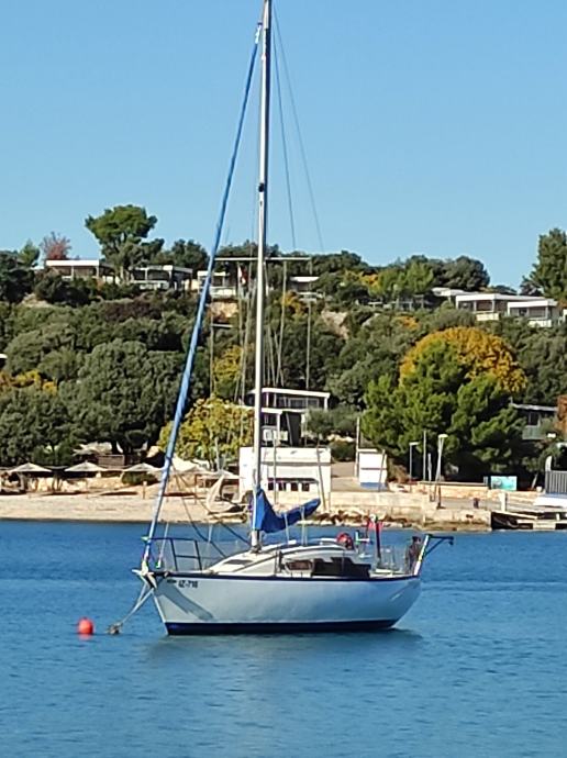 Jedrilica , dufour 27, kopija