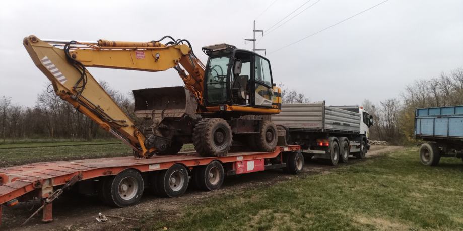 Labudica Nikos, 2000 god.