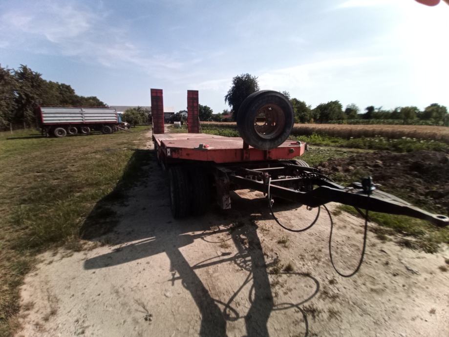 Labudica Nikos, 2000 god.