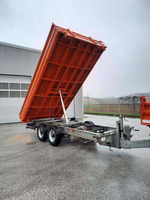 PRIKOLICA LABUDICA KIPER, 2019 god.