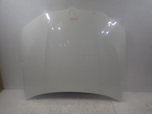 HAUBA POKLOPAC MOTORA BMW X3 G01 X4 G02 2017-