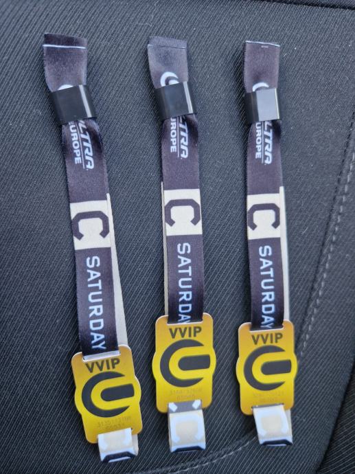 Ultra music festival VVIP