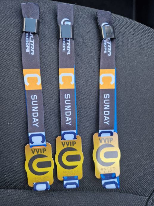 Ultra music festival VVIP