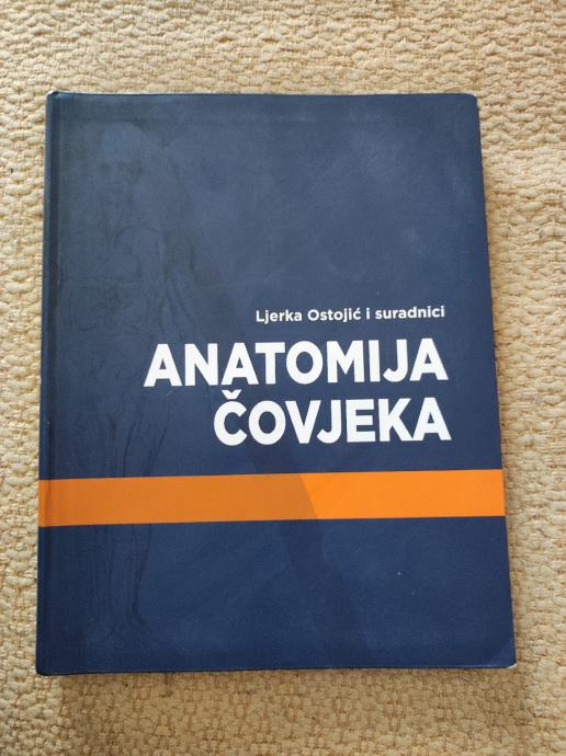 Anatomija čovjeka