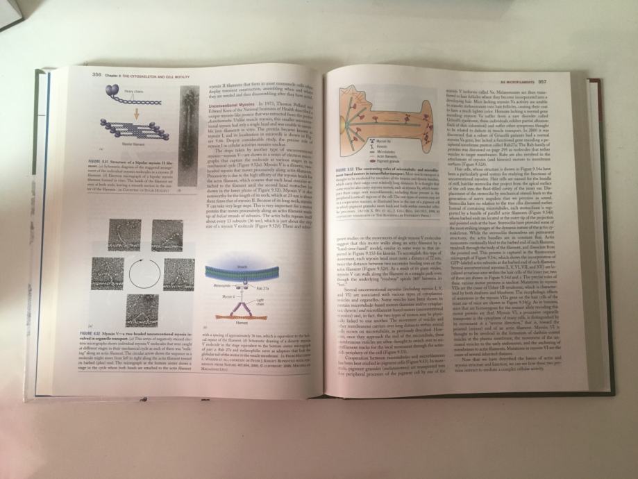 Cell and Molecular Biology: Concepts and Experiments, Gerald Karp