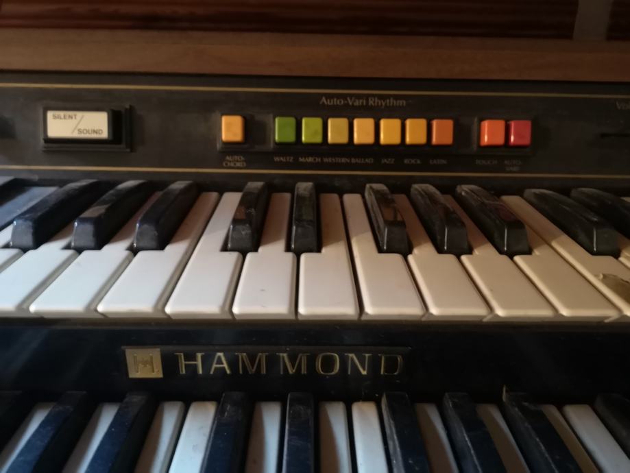 Hammond orgulje, model: 124jmr