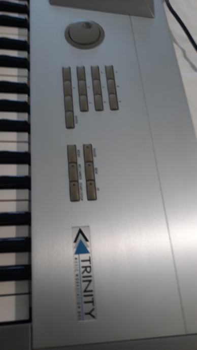 Korg Trinity