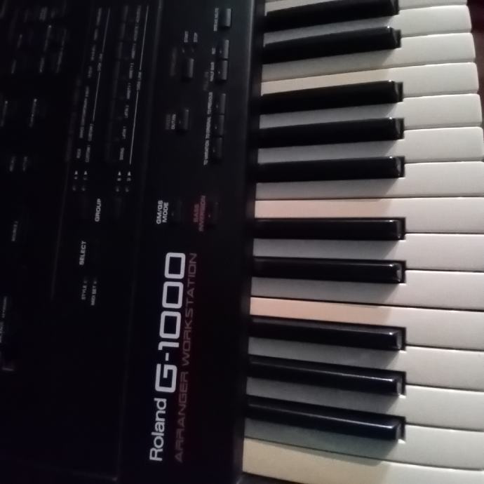 Roland G-1000