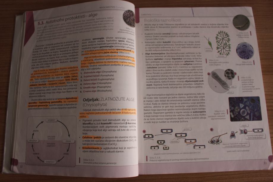 Biologija 2 - udžbenik za drugi razred gimnazije
