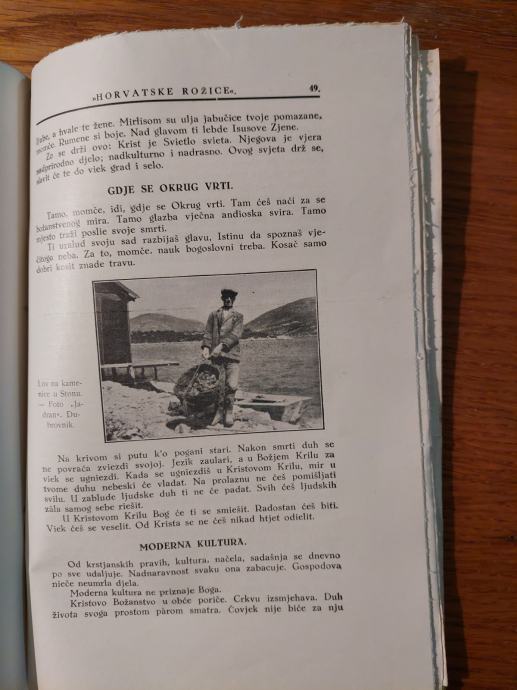 Flora CROATICA / HORVATSKE Rožice - Sakupio : Mihajlo STAGNITA