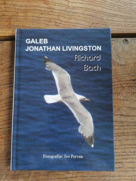 Galeb Jonathan Livingston