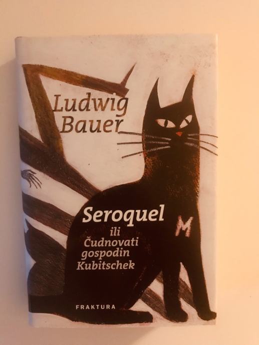 Ludwig Bauer: Seriquel ili čudnovati gospodin Kubitschek
