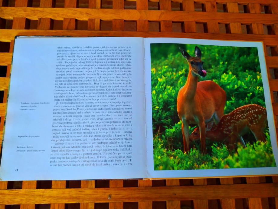 Slavonska šuma Moj djed / Josip Kozarac LEKTIRNA KNJIGA ABC ZG 1998