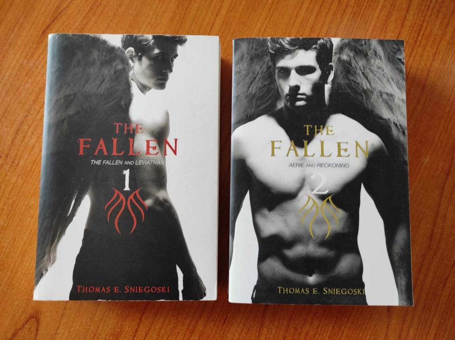 Thomas E. Sniegoski - The Fallen 1-2