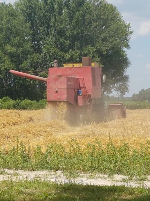 Zmaj 142 RM