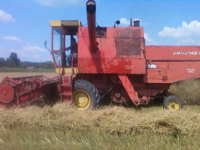 Zmaj 142