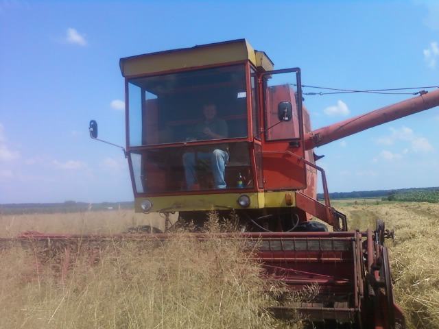 Zmaj 142
