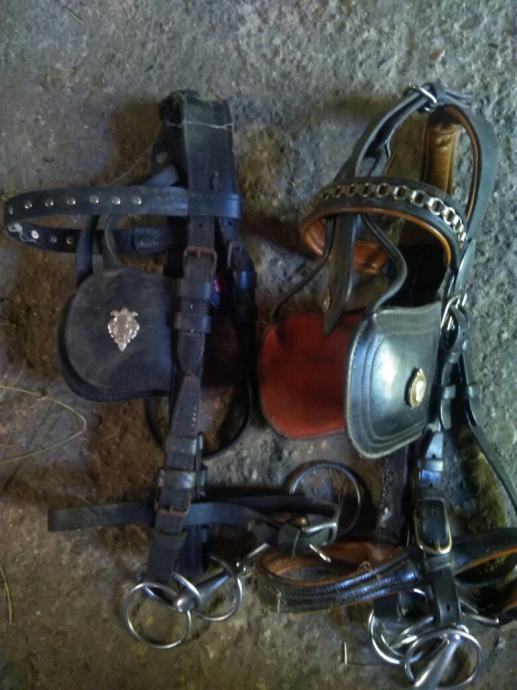 Oglavine,ham i žvale