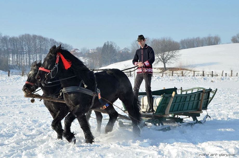 Zaprežne sanjke (konjske saonice)