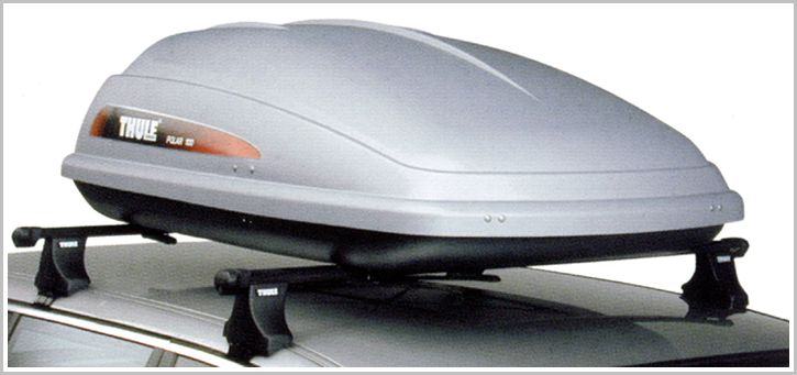 Polar 100 THULE