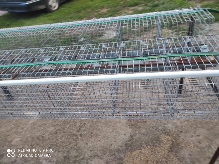 Kavezi za tov kunića