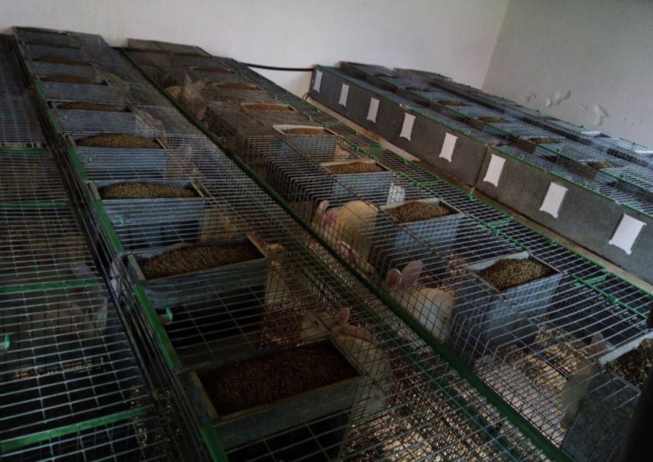 Profesionalni kavezi za kuniće