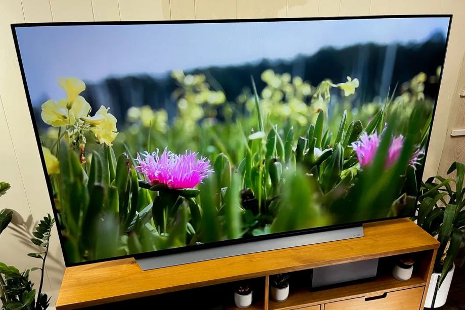 LG OLED 55C11LB