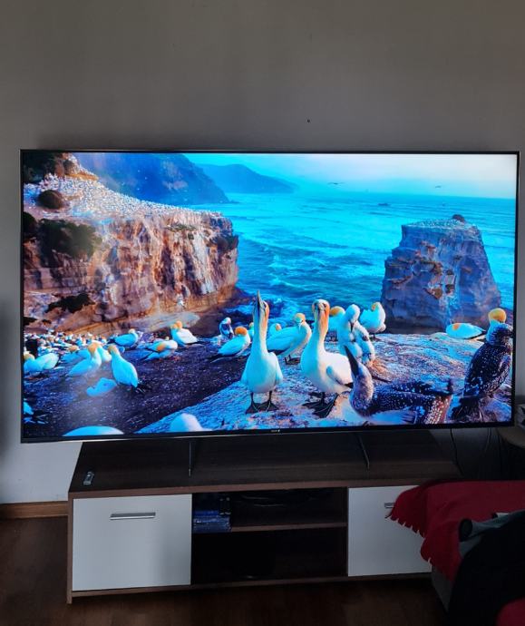 Sony Bravia Android 2020 Hitno