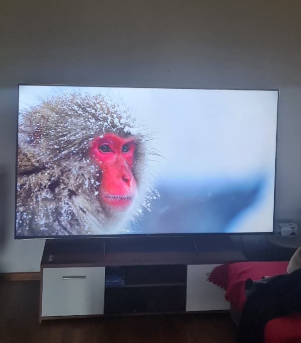 Sony Bravia Android 2020 Hitno