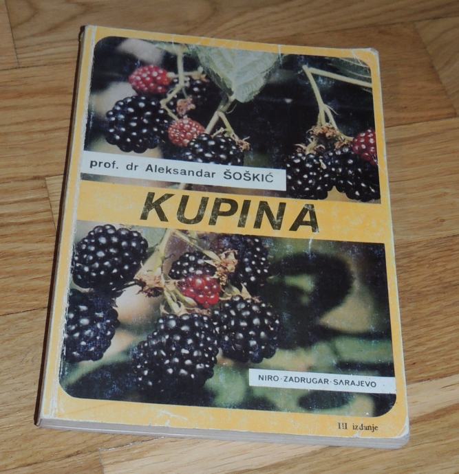 Aleksandar Šoškić Kupina