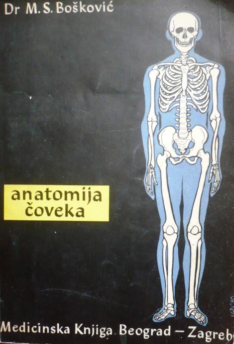 ANATOMIJA ČOVEKA Dr. M.S.Bošković Medicinska knjiga Beograd Zagreb