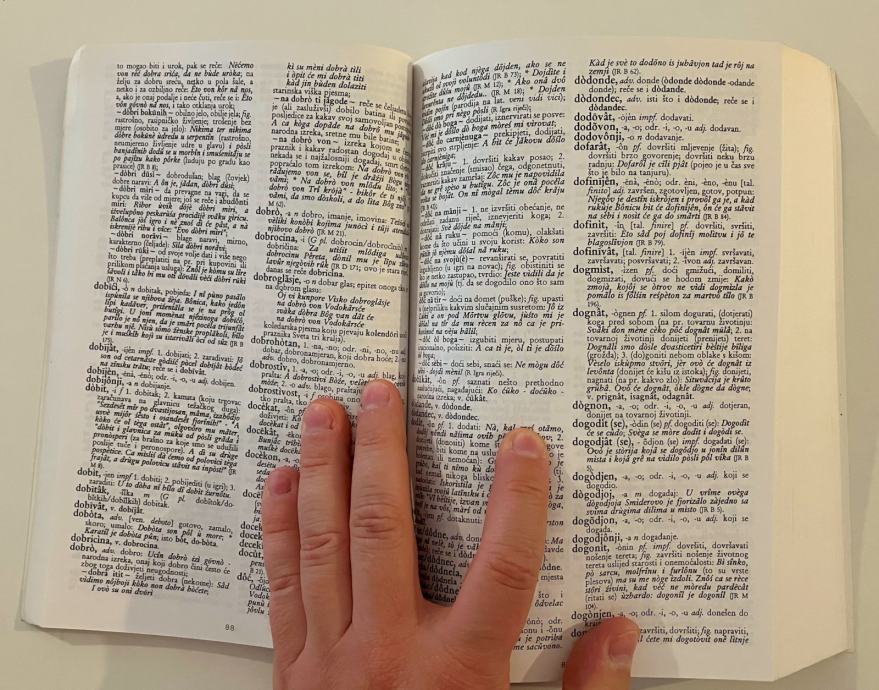 Andro Roki Fortunato - Knjiga Viškoga Govora Libar viškiga jazika