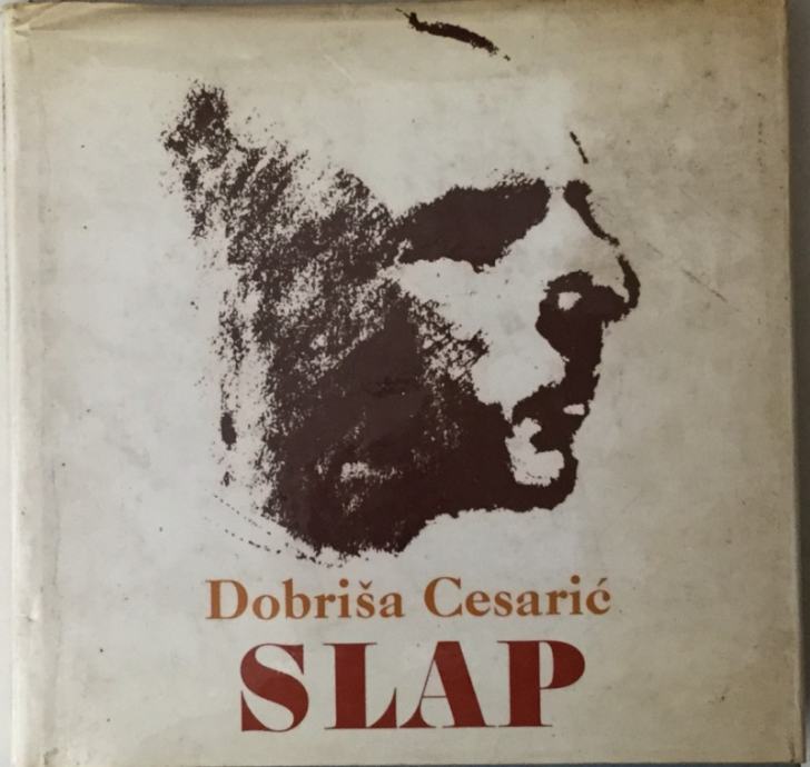 Dobriša Cesarić: Slap